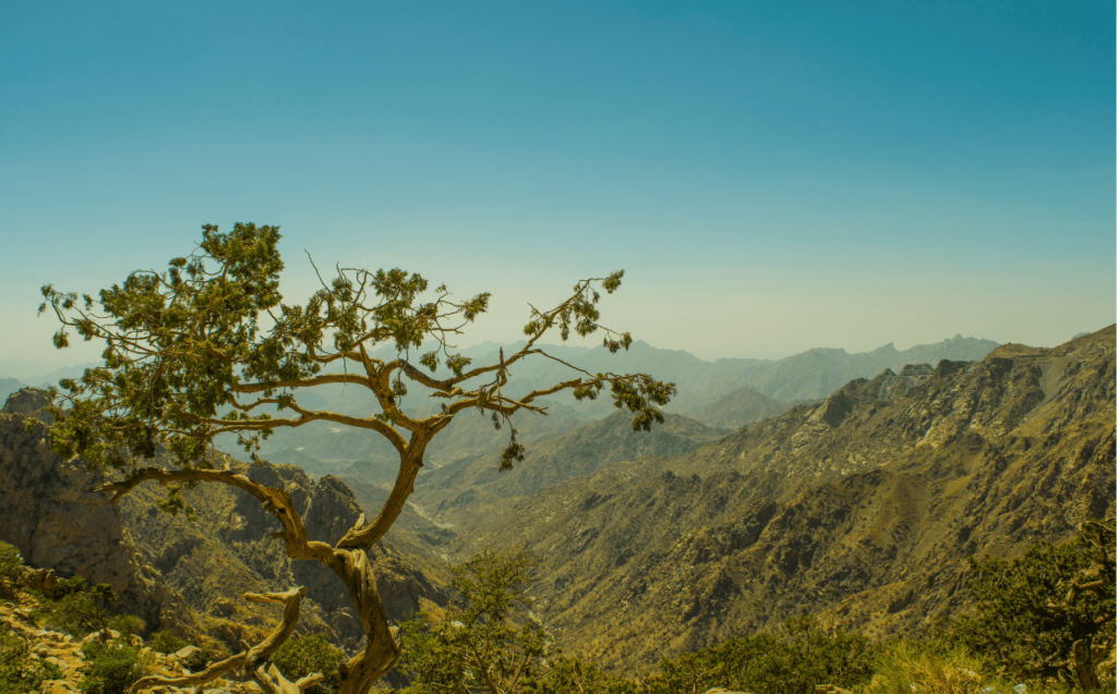 Historical places in Taif - Arab World | Arab Countries